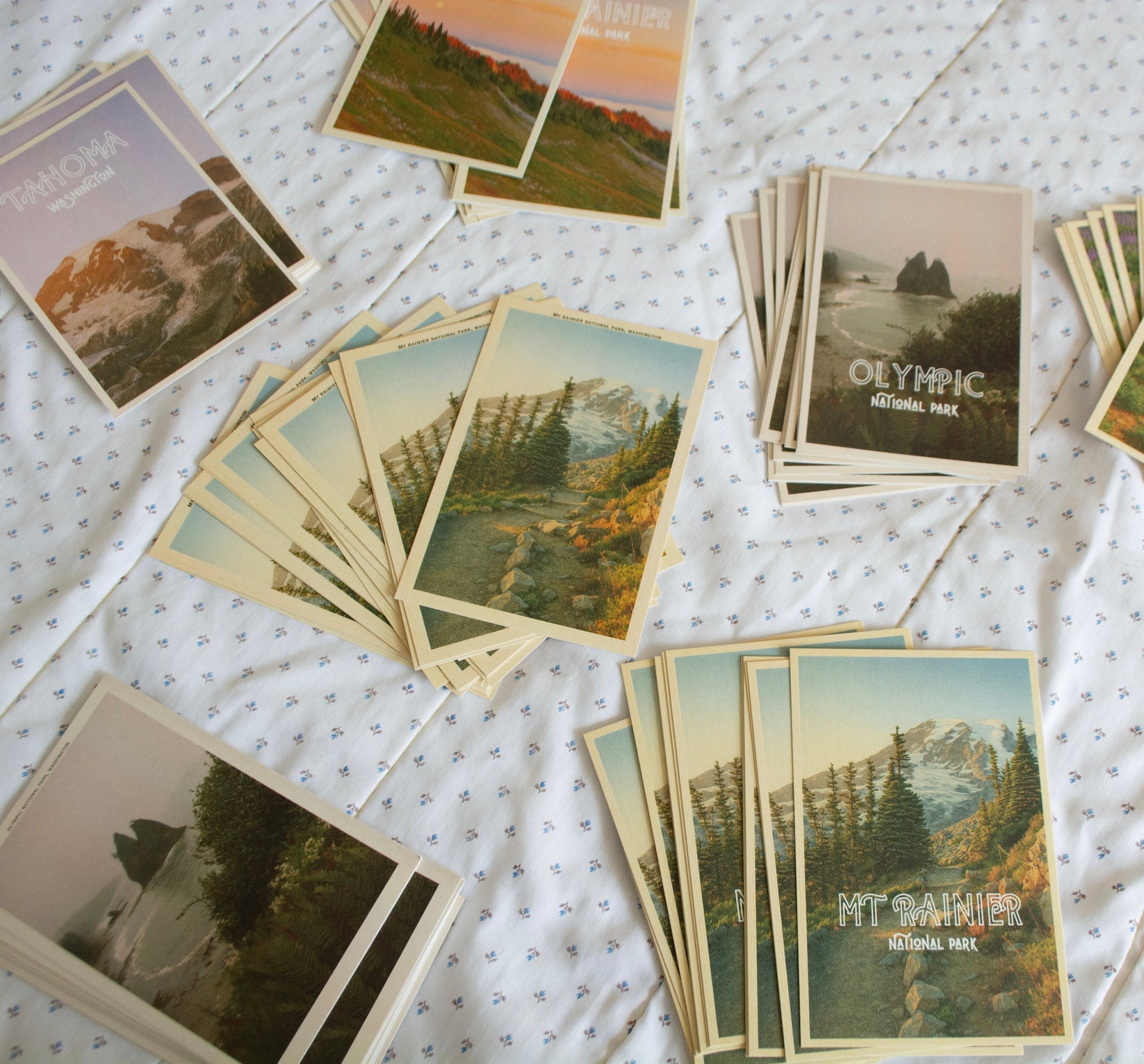 Vintage Inspired Film 4x6 Postcards – Traildust