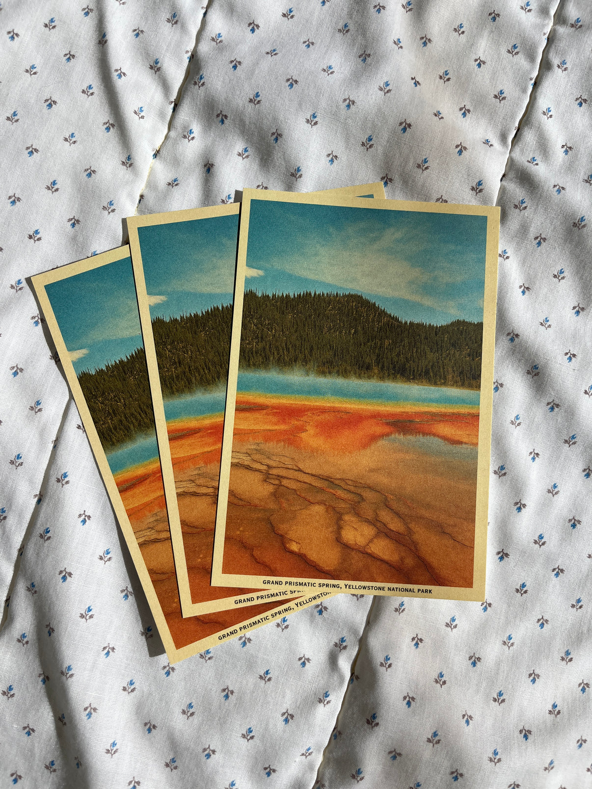 Vintage Inspired Film 4x6 Postcards – Traildust