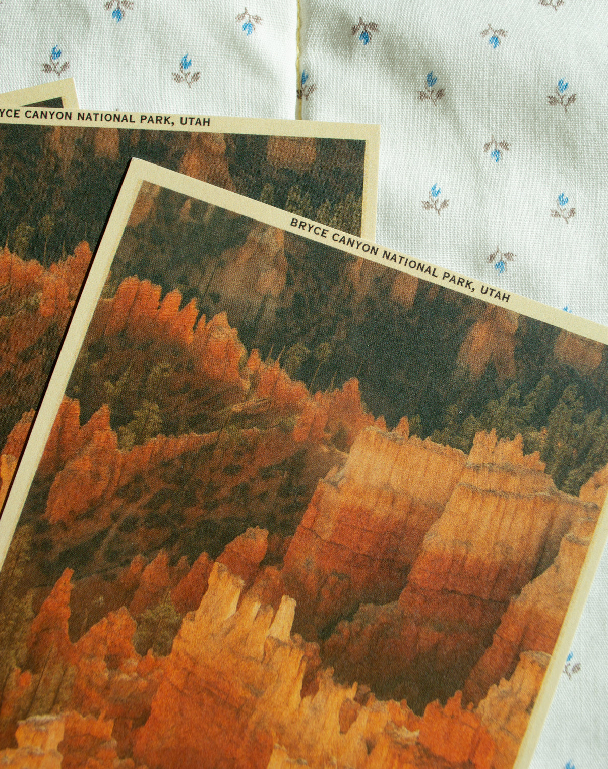 Vintage Inspired 4x6 Postcards – Traildust